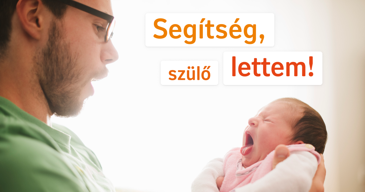 Segítség, szülő lettem! - NN
